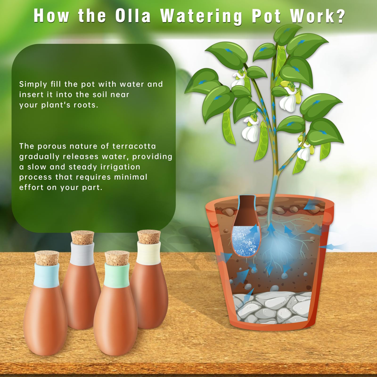 Clay Pot Olla Plant Self Watering The Olla Company Authentic Clay