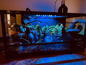 Amazon.com : REPTI ZOO Deluxe Terrarium Stacker with Front Sliding ...