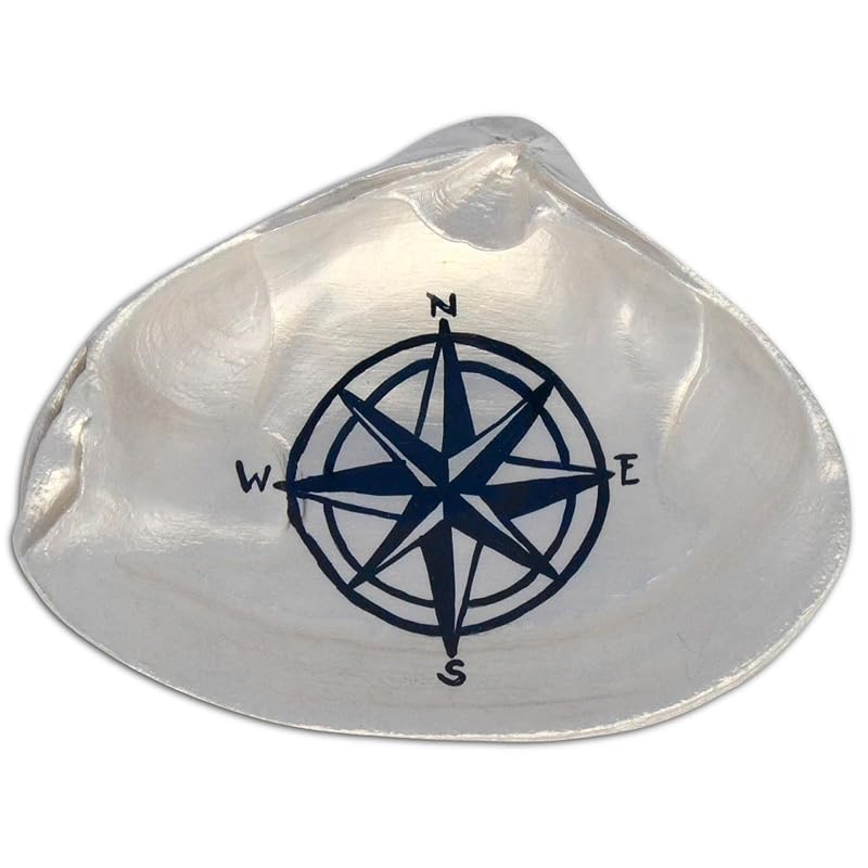 Amazon.com: Compass Rose Shell Dish - Spoon Rest, Ring Dish, Jewelry ...