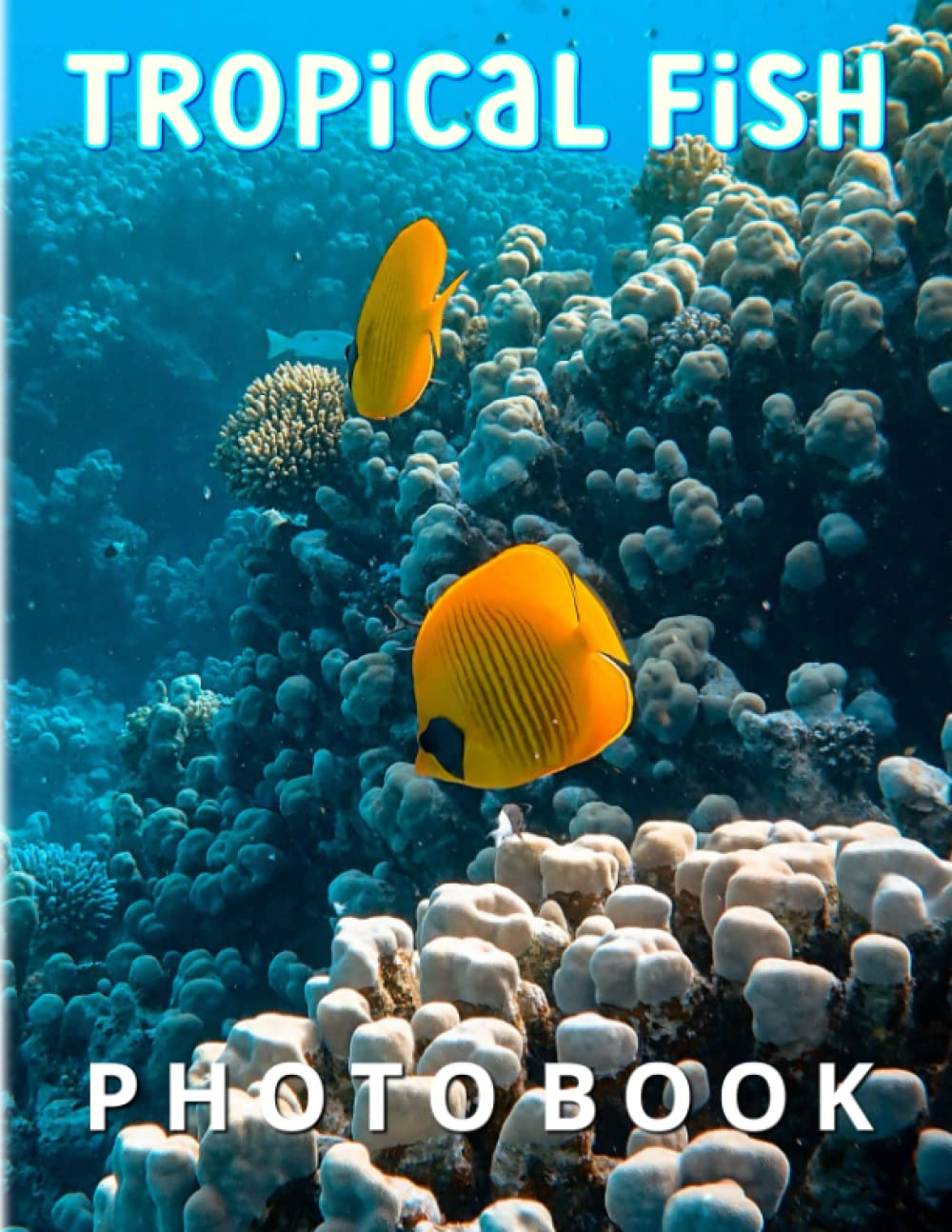 Tropical Fish Photo Book: Wonderful Color Life in Deep Sea By Pictures ...