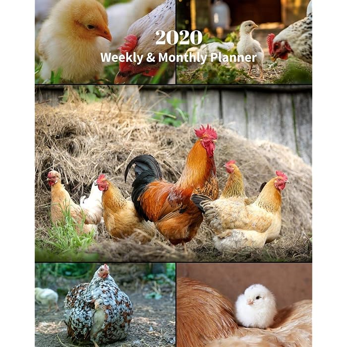 Buy 2020 Weekly and Monthly Planner: Chicken Collage - Monthly Calendar ...
