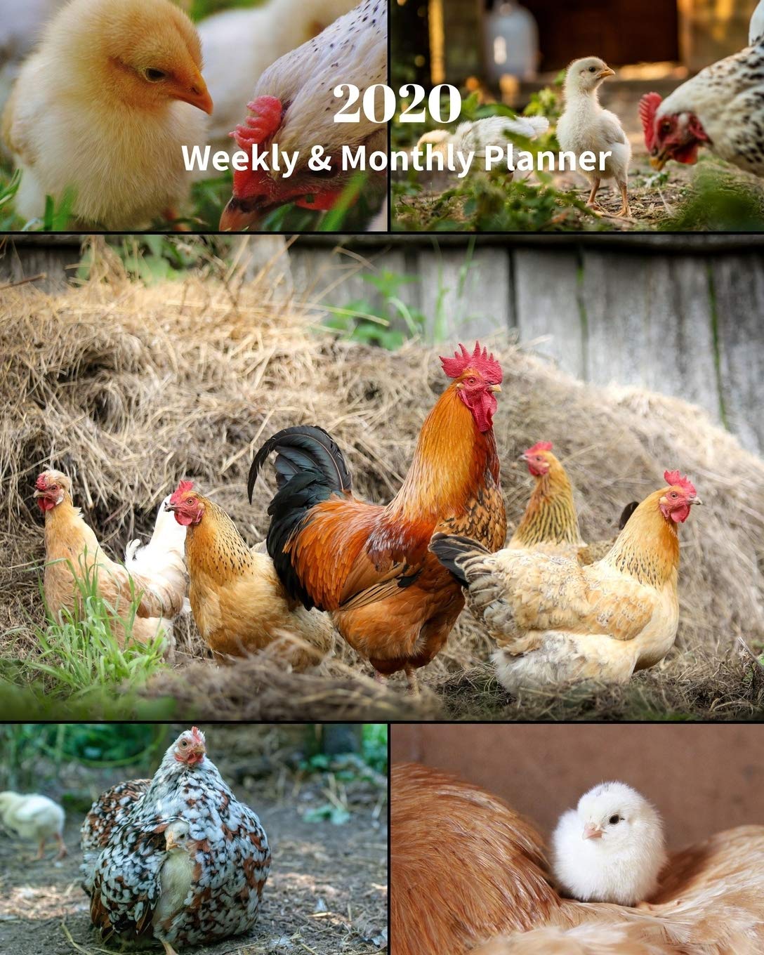Buy 2020 Weekly and Monthly Planner: Chicken Collage - Monthly with U.S ...