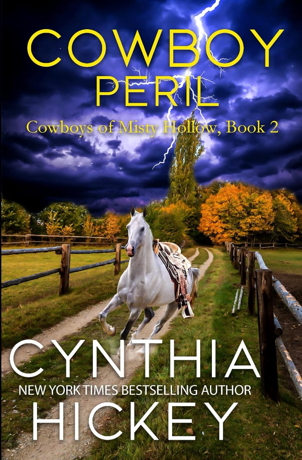 Amazon.com: Cowboy Peril (The Cowboys of Misty Hollow): 9781962168540: Hickey, Cynthia