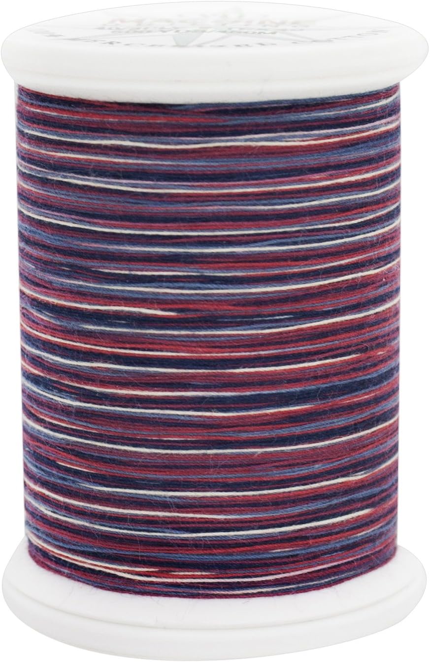 Amazon.com: YLI 24450-01V 3-Ply 40wt T-40 Cotton Quilting Variegated ...