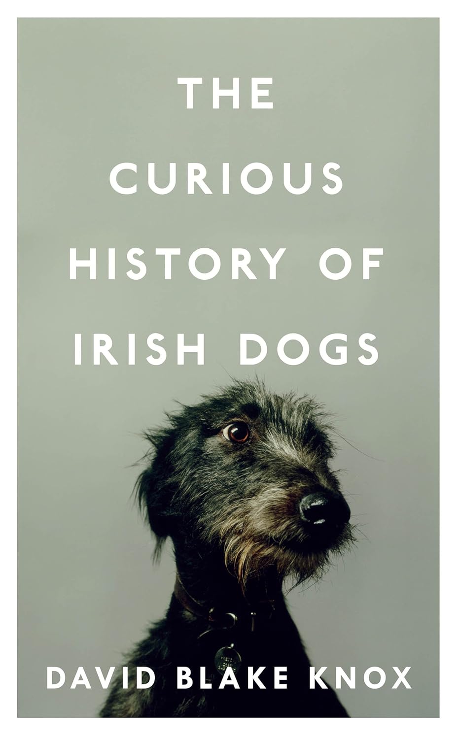 The Curious History of Irish Dogs: Amazon.co.uk: Knox, David Blake ...