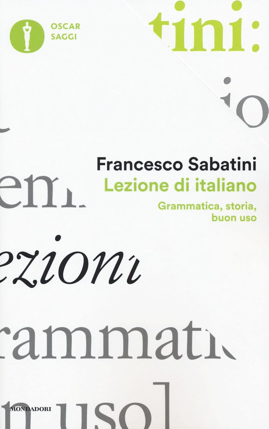 Amazon.com: Lezione di italiano. Grammatica, storia, buon uso ...