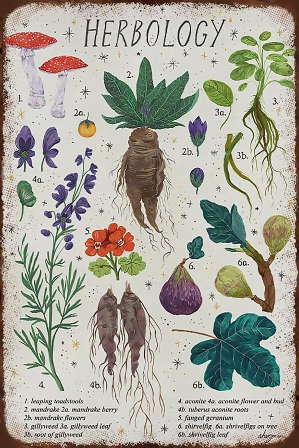 Amazon.com: Herbology Poster Canvas Wall Art Painting Plant Magic Poster Canvas Painting Vintage ...