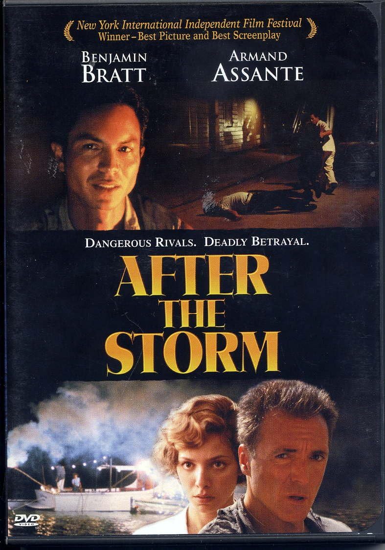 After the Storm [Import]: Amazon.ca: Benjamin Bratt, Armand Assante ...