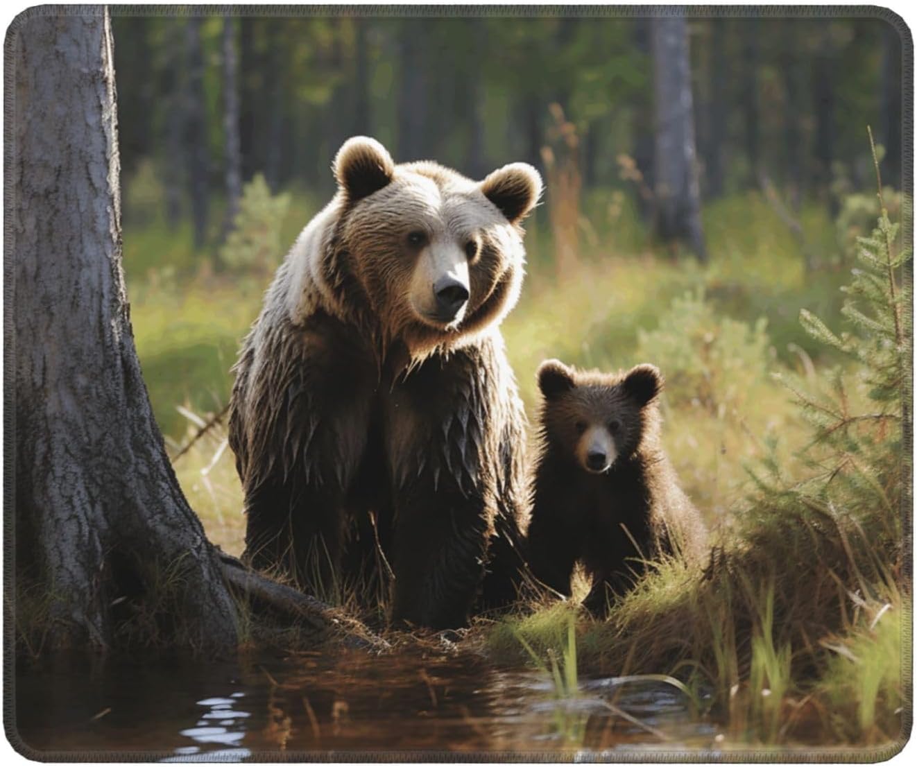 Amazon.com: Mother Brown Bears Protect Cubs Mouse Pads Custom Design ...