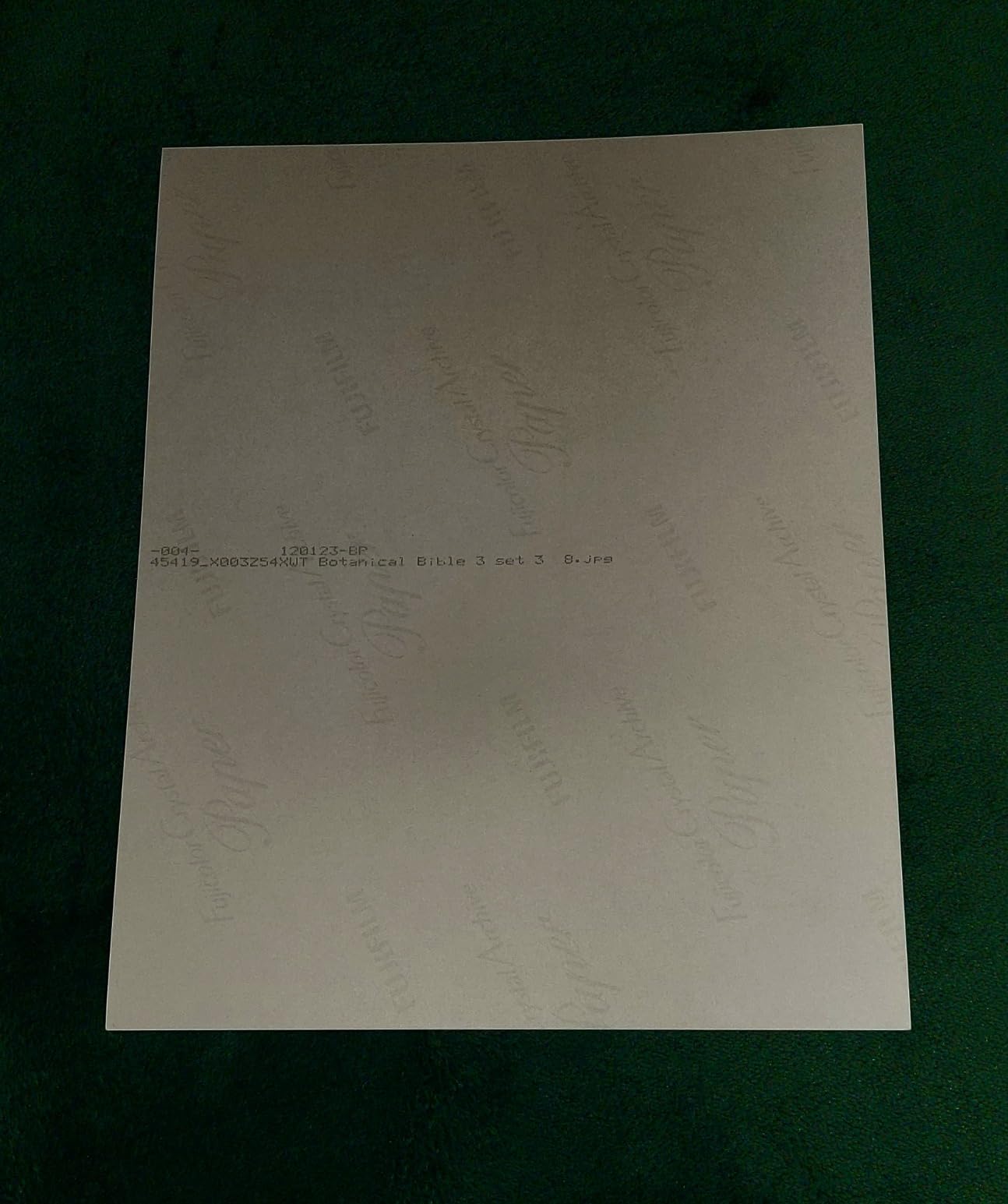 Amazon.com: Botanical Boho Bible Verse Set of 3 Art Prints, UNFRAMED ...