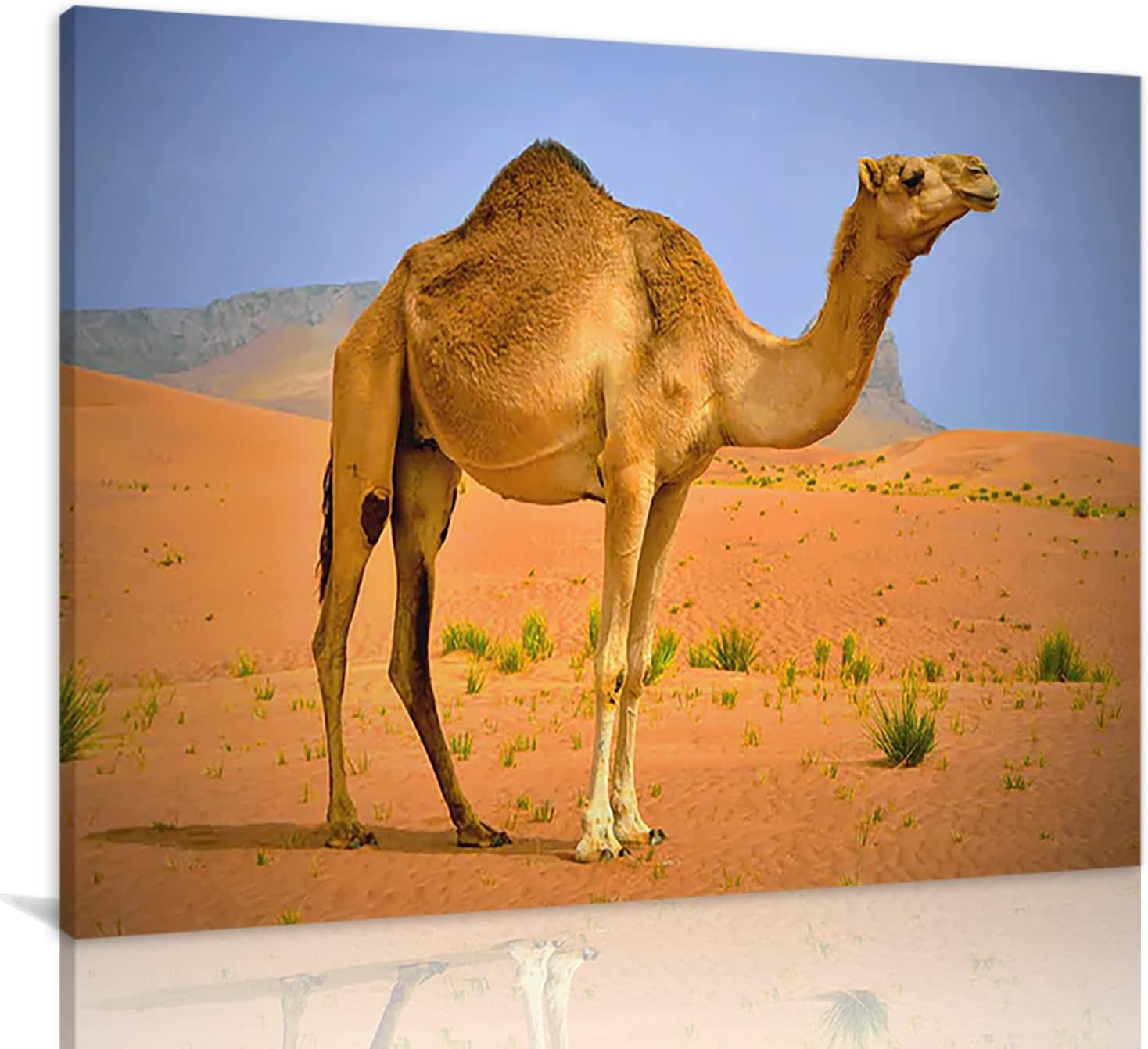 Amazon.com: Abstract Wall Decor Oil Painting on Canvas Camel In The ...