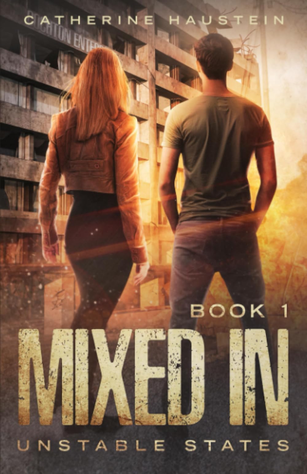 Mixed In (Unstable States): Haustein, Catherine: 9781944728120: Amazon ...