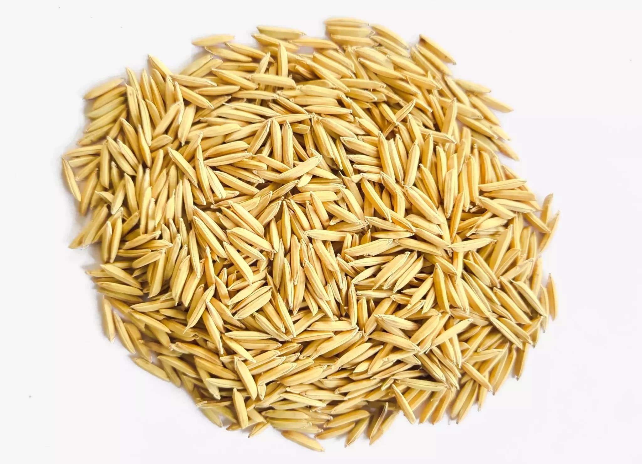 Buy SAMPADA AGRITECH | Pusa Basmati Paddy 1692 | Dhan, Rice & Paddy for ...
