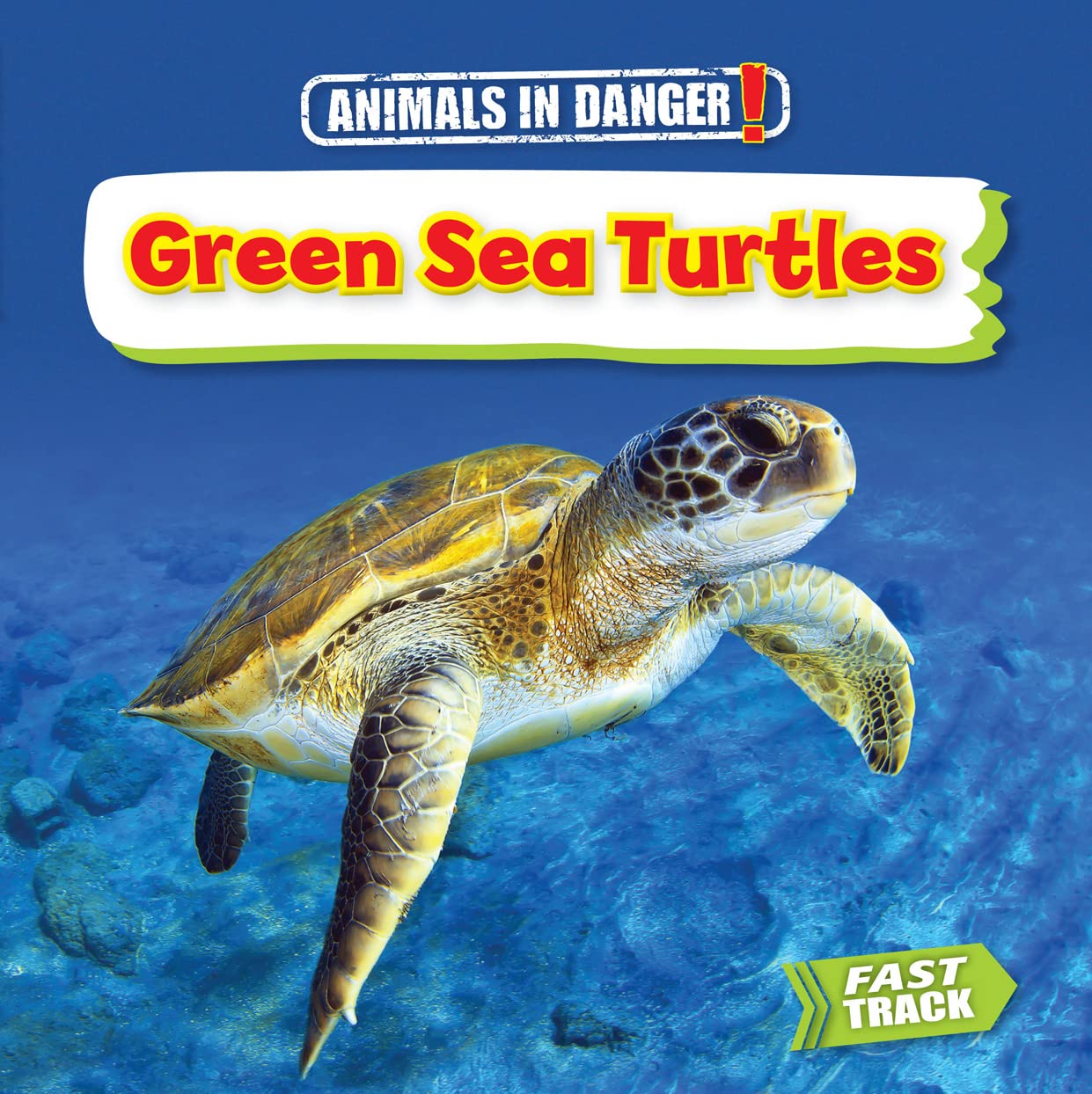 Green Sea Turtles (Animals in Danger): Dickmann, Nancy: 9781781214640 ...