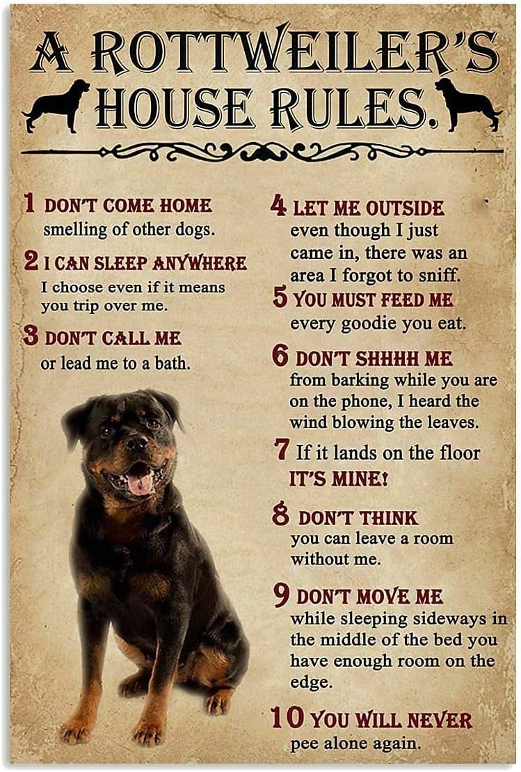 Amazon.com: A Rottweiler'S House Rules Metal Tin Sign New Vintage Decor ...