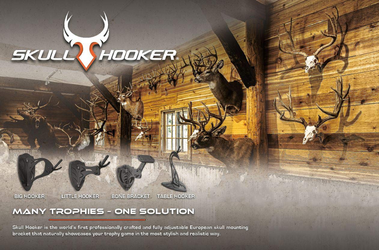Snapklik.com : Little Hooker European Trophy Mount - Perfect Kit For ...