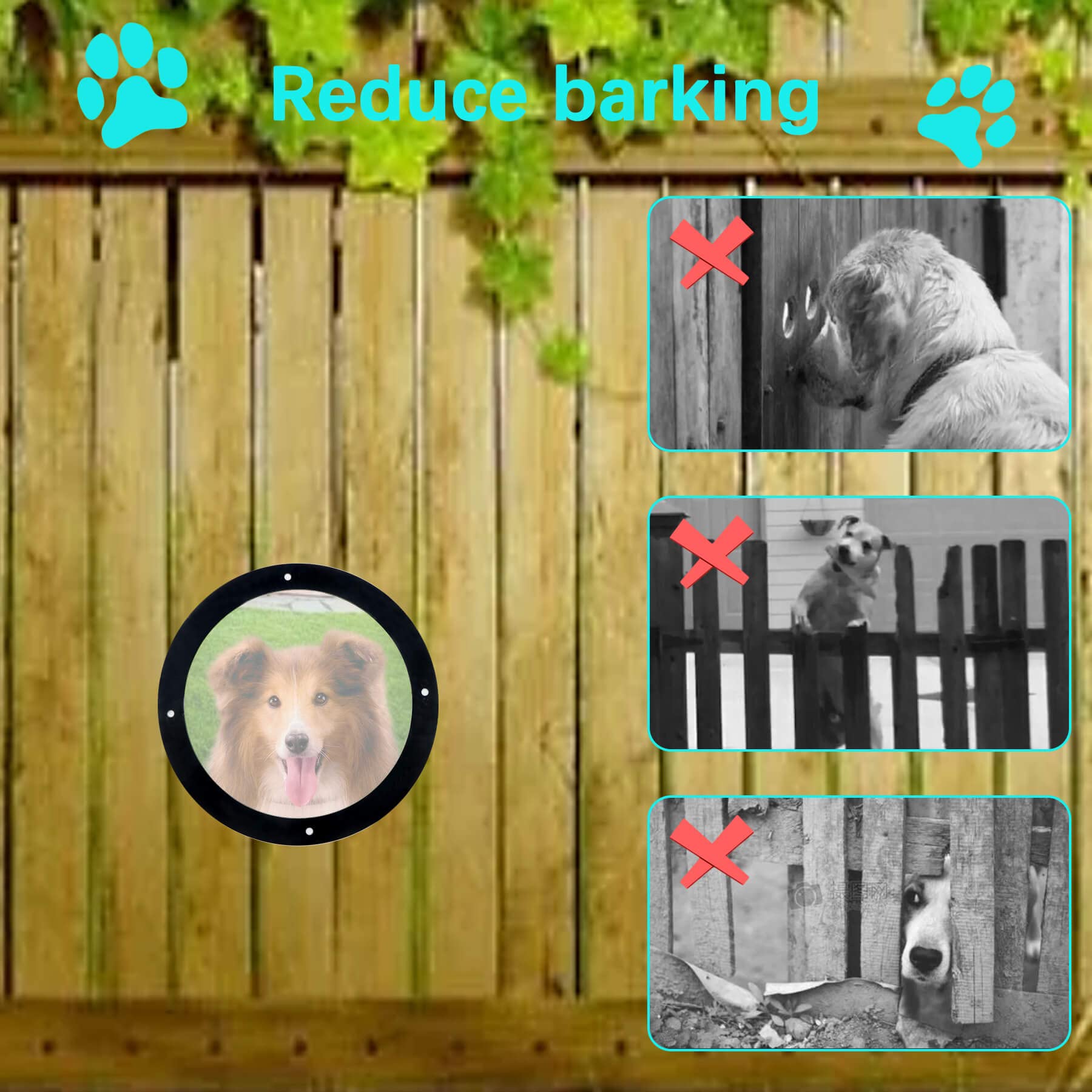 Snapklik.com : 2-Pack 12.4" Acrylic Dog Fence Peek Window Clear Dome ...