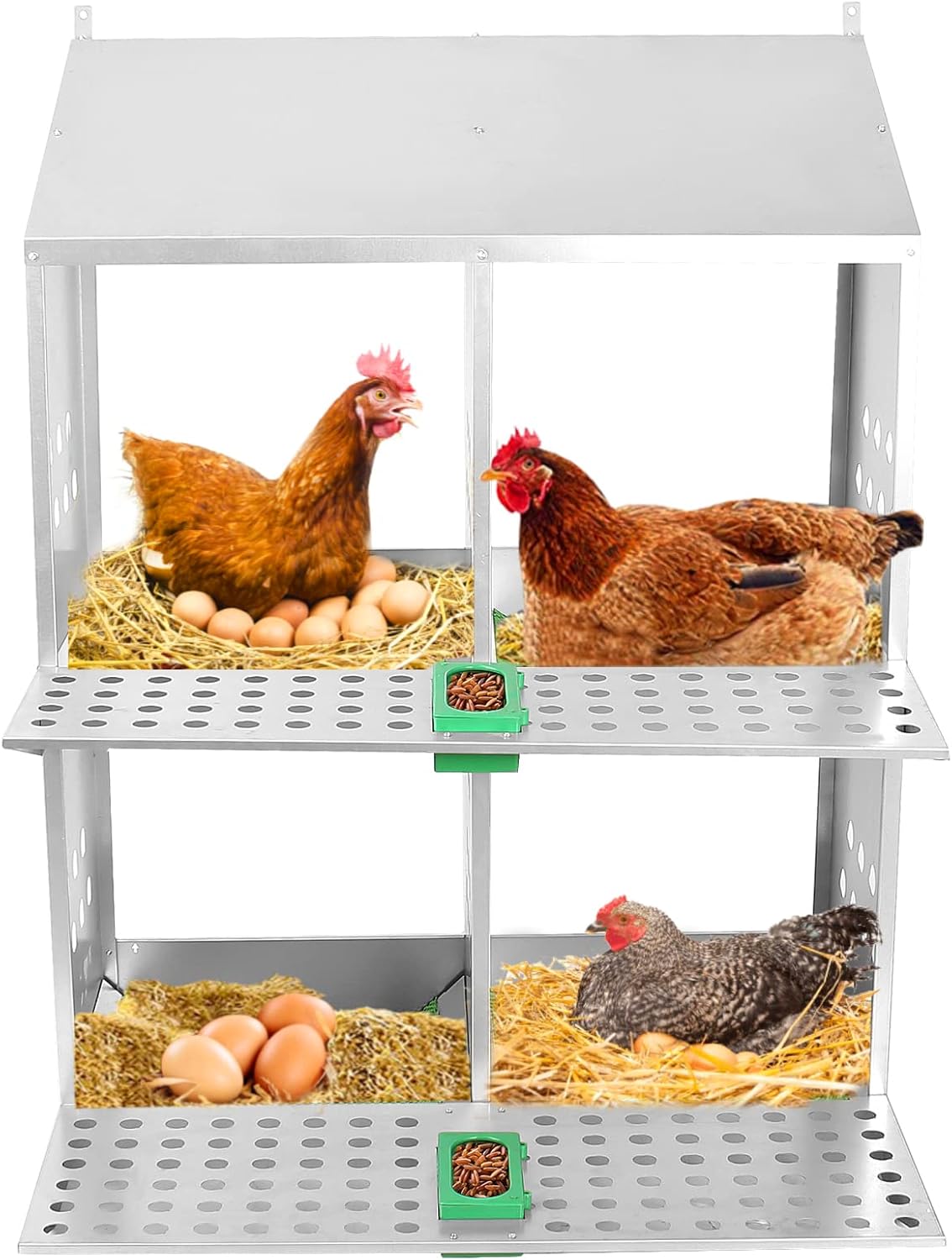 Amazon.com: Sidasu Chicken Nesting Box-4 Hole Metal Poultry Nest Box ...