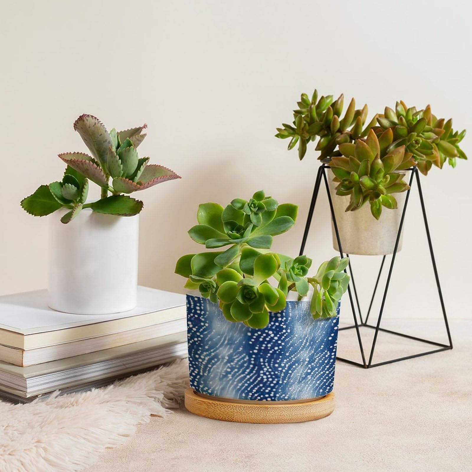 Macetas Caseras Para Plantas