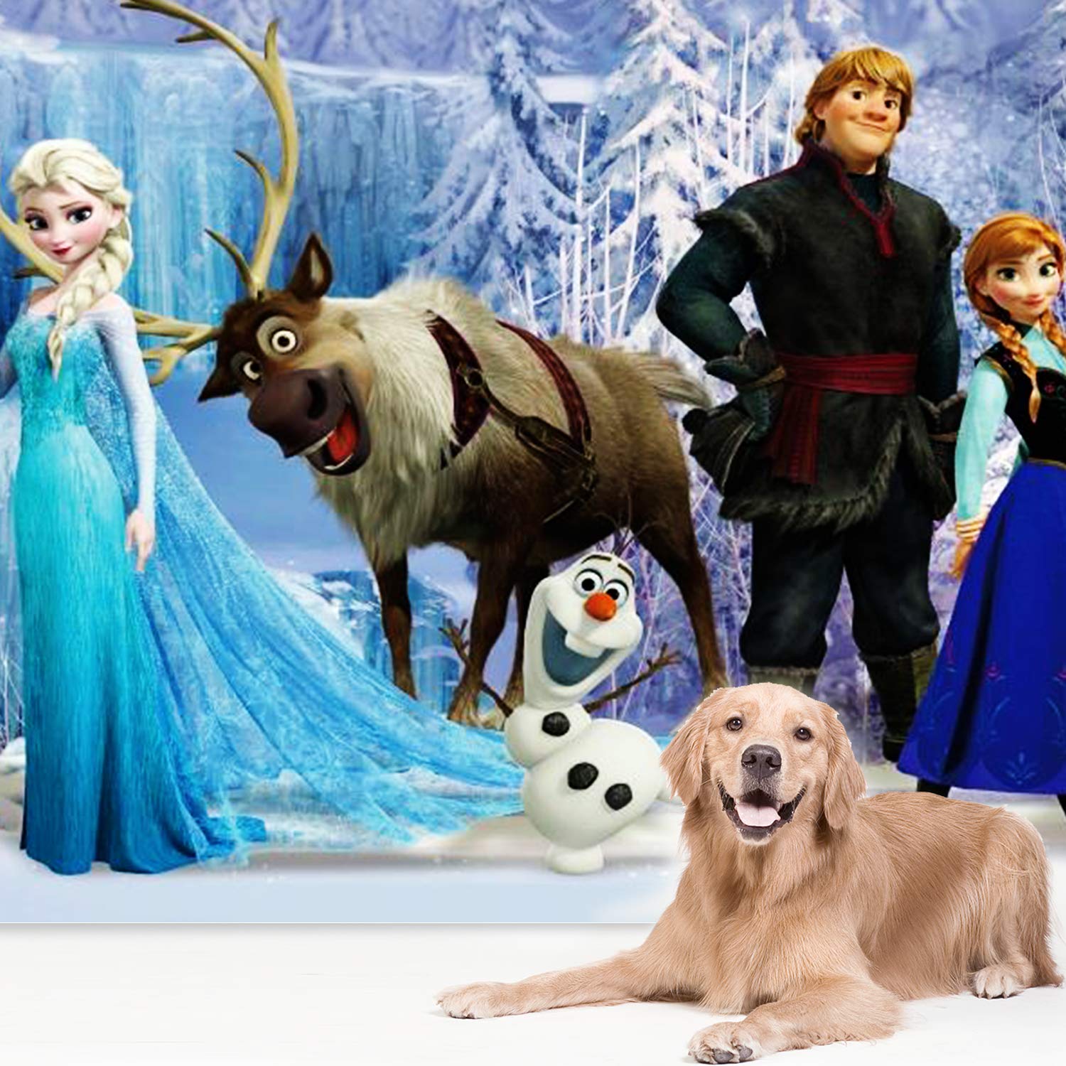 Buy Elsa Backdrop Birthday Banner for Girl Frozen Elsa Princess Party ...