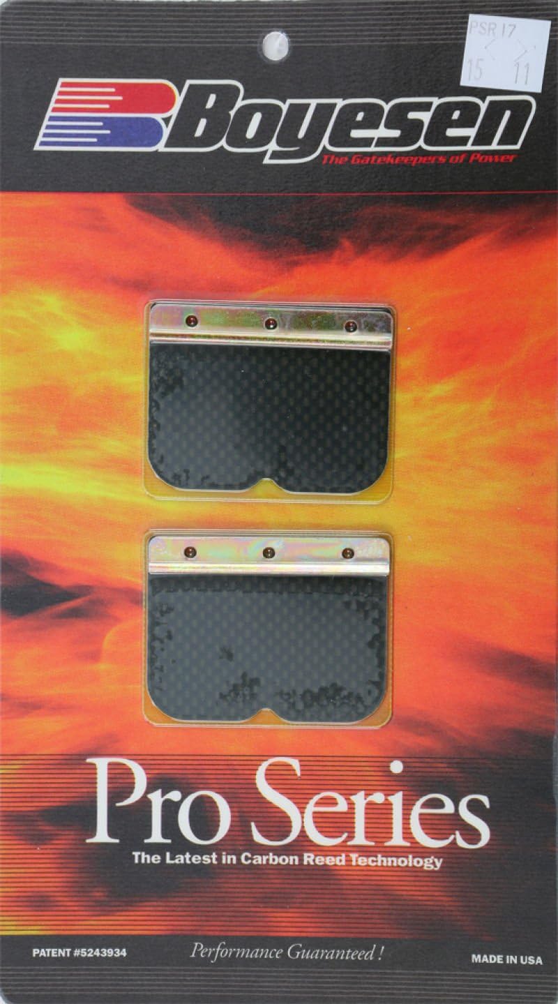 Amazon.com: Boyesen M/C PRO Reed RM250 : Automotive