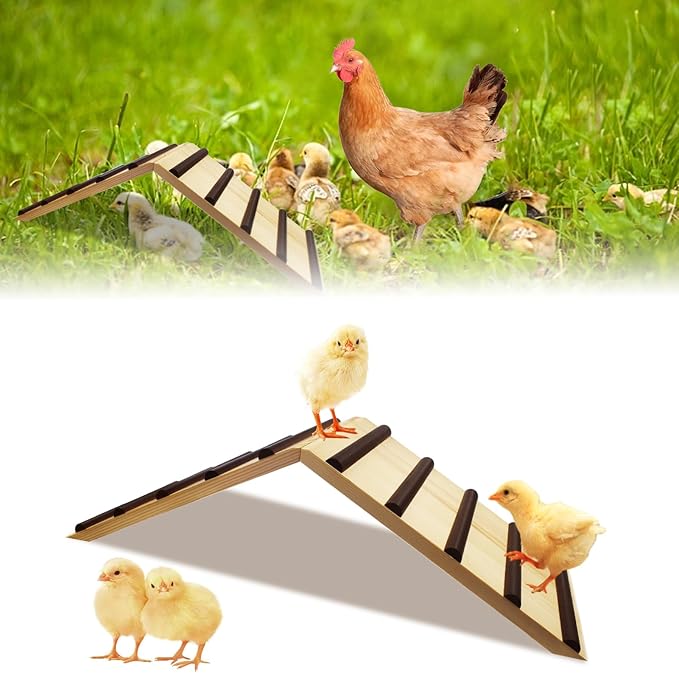 Amazon.com : BSTSLL Chicken Perch and Baby Chick Toys -Two-in-one ...