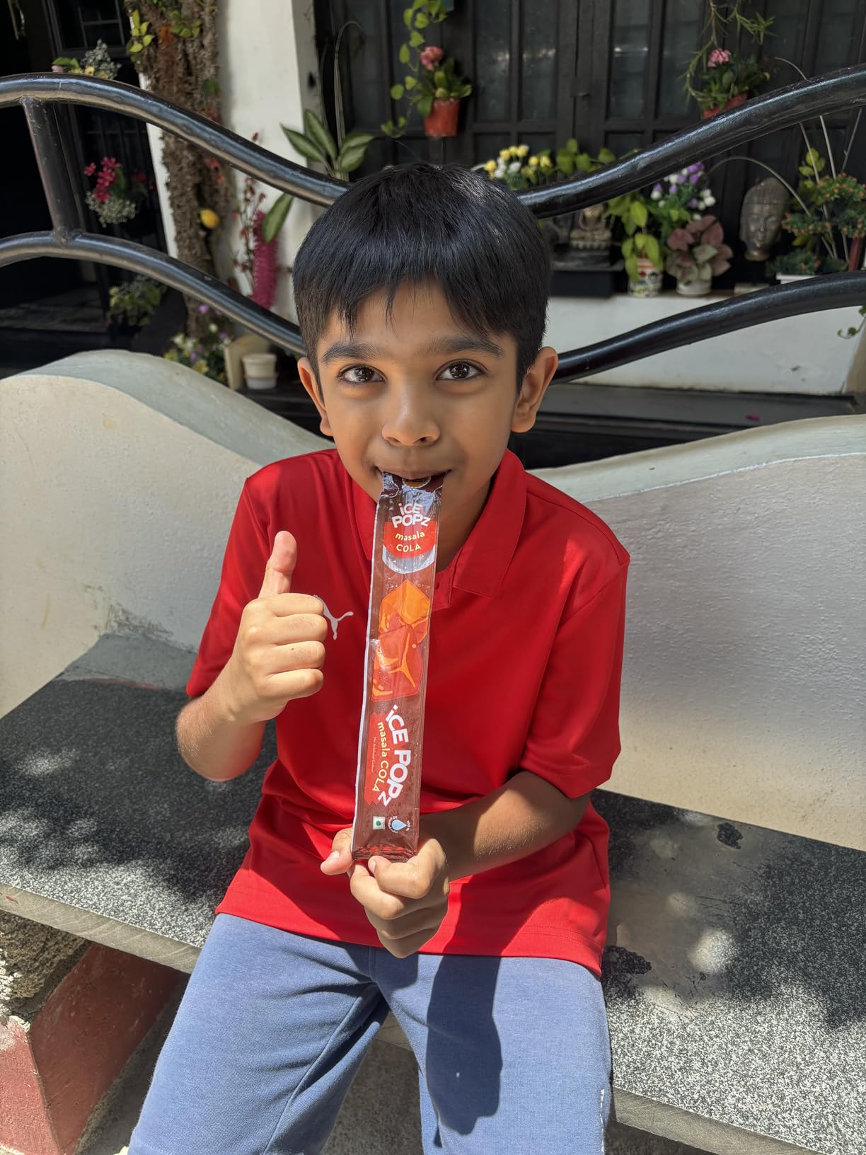 GO DESi Ice Popz : 12-Pack Assorted 4 Flavours Fruit Ice Popsicles ...
