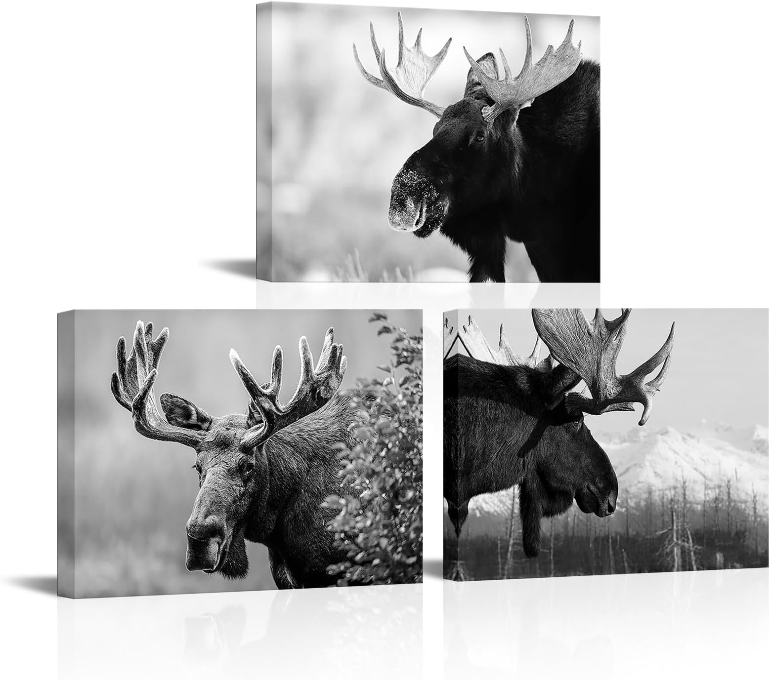 Amazon.com: WGI-GALLERY WA-QWM-412 Quiet Water Moose Wall Art, 4"x12 ...