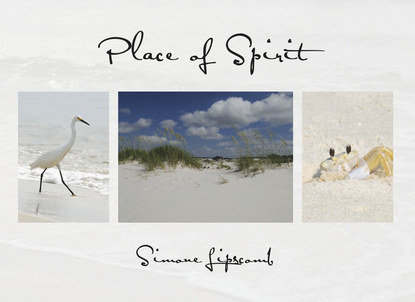 Place of Spirit: Simone Lipscomb, Simone Lipscomb: 9781450718103 ...