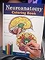 Amazon.com: Neuroanatomy Coloring Book: Incredibly Detailed Self-Test ...