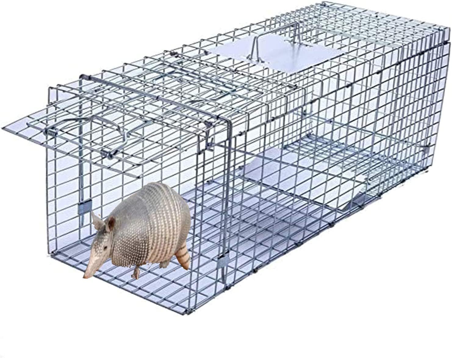 Amazon.com : Large Collapsible Humane Live Animal Cage Trap Animal Trap ...