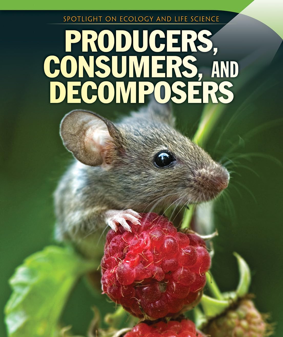 Producers, Consumers, and Decomposers (Spotlight on Ecology and Life ...