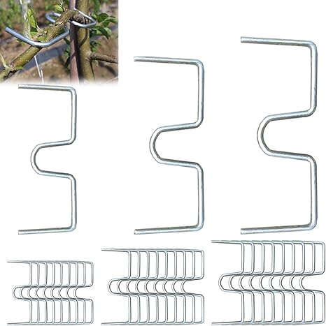 Gxlaihly Pack of 30 Branch Supports for Fruit Trees, 8.10.13 cm, Metal ...