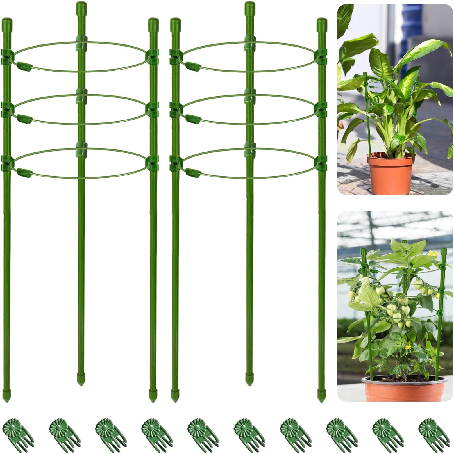 Amazon.com : HTWNK adjustable Tomato Plant Support Cages. 2 Pack 36 ...