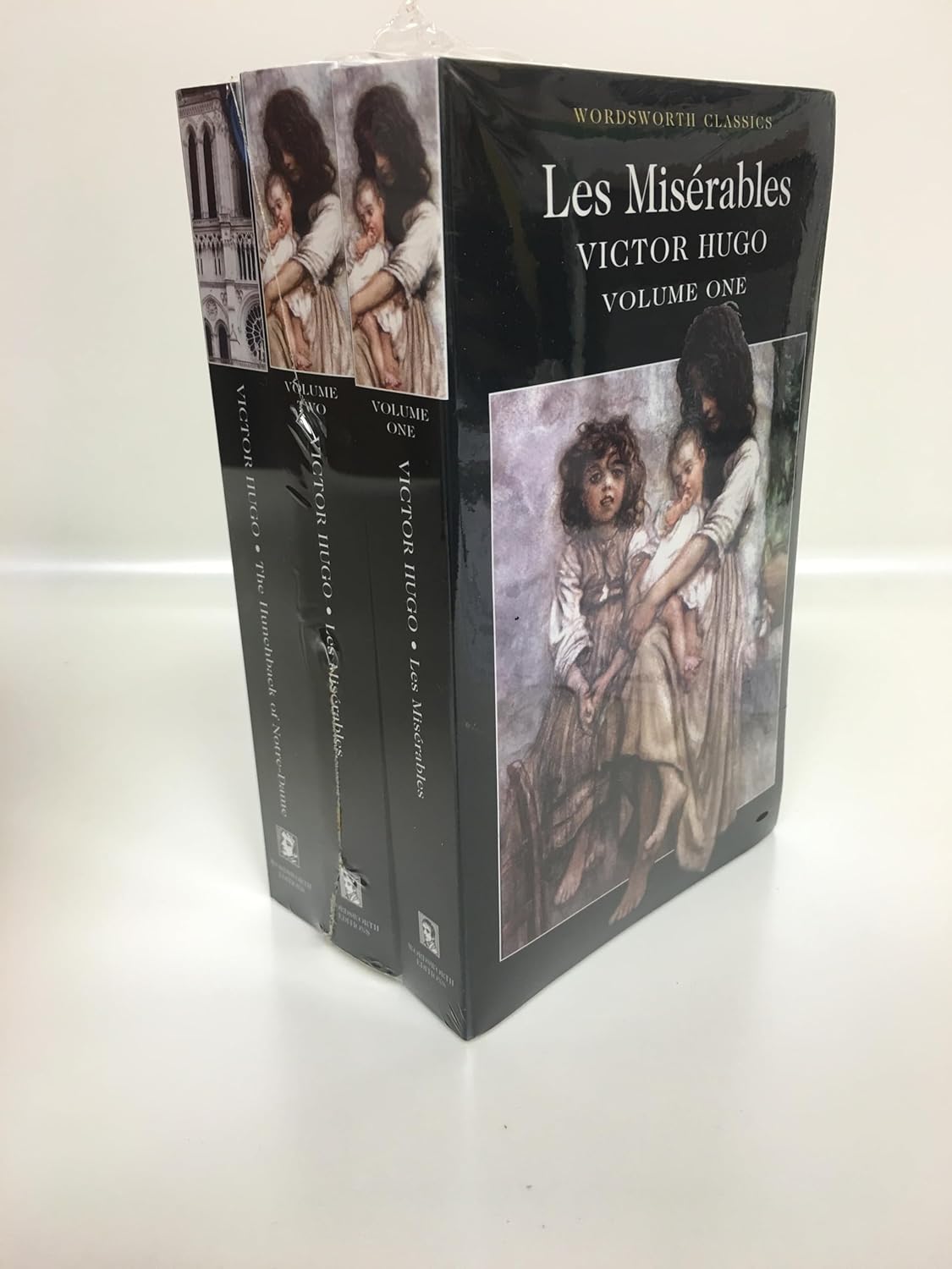 The Best of Victor Hugo (Wordsworth Author Collections): Victor Hugo ...