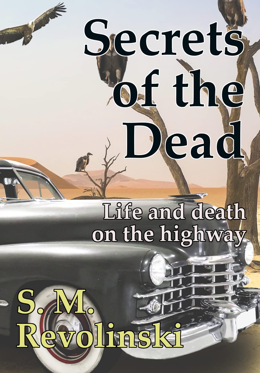 Secrets Of The Dead: Life and death on the highway - Kindle edition by ...