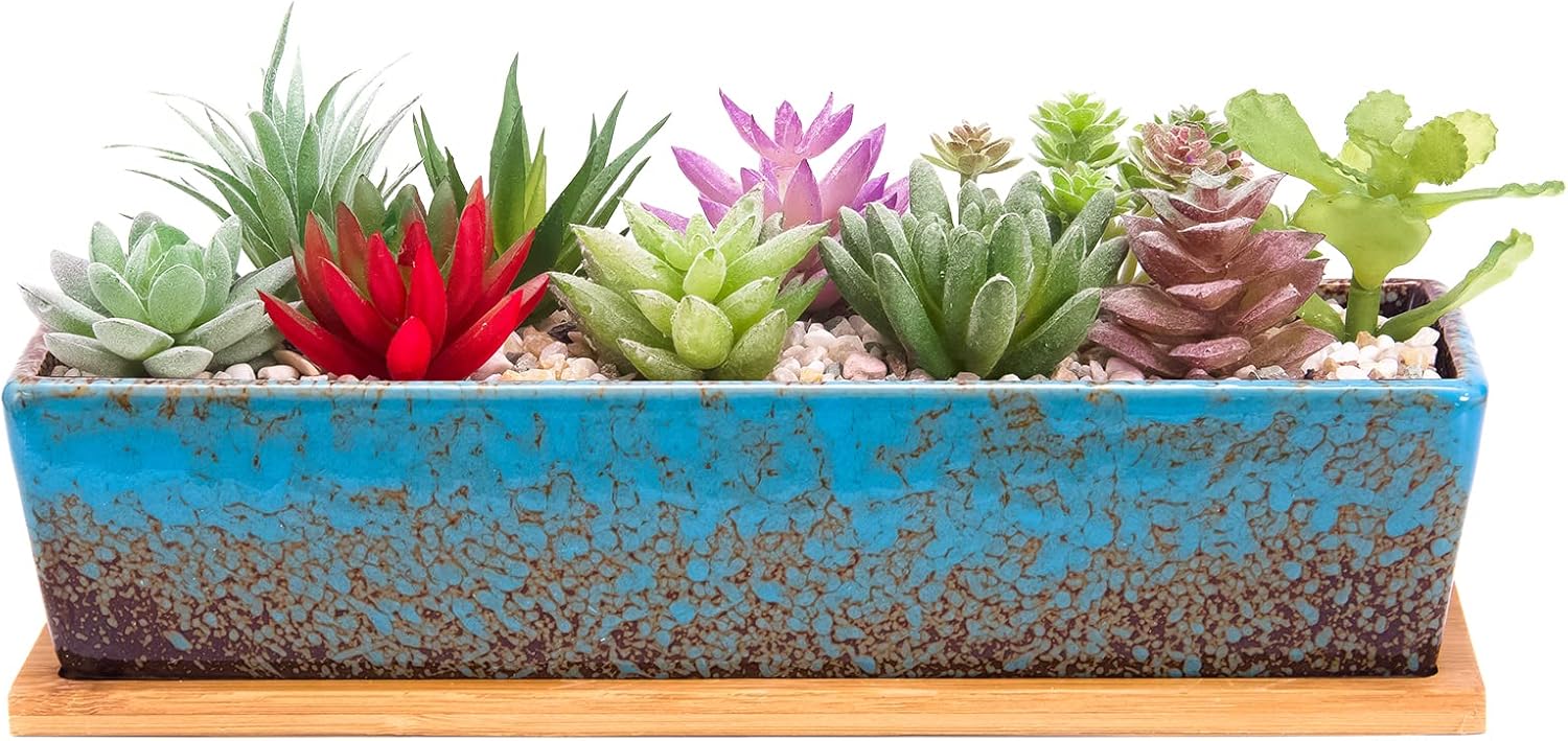 Succulent Pot - Large Succulent Planter Pots with Drainage, 12 Inch ...
