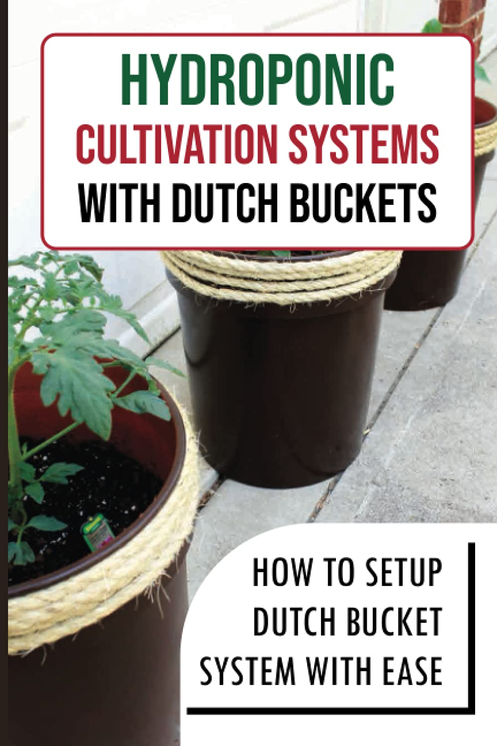 Hydroponic Cultivation Systems With Dutch Buckets How To Setup Dutch ...