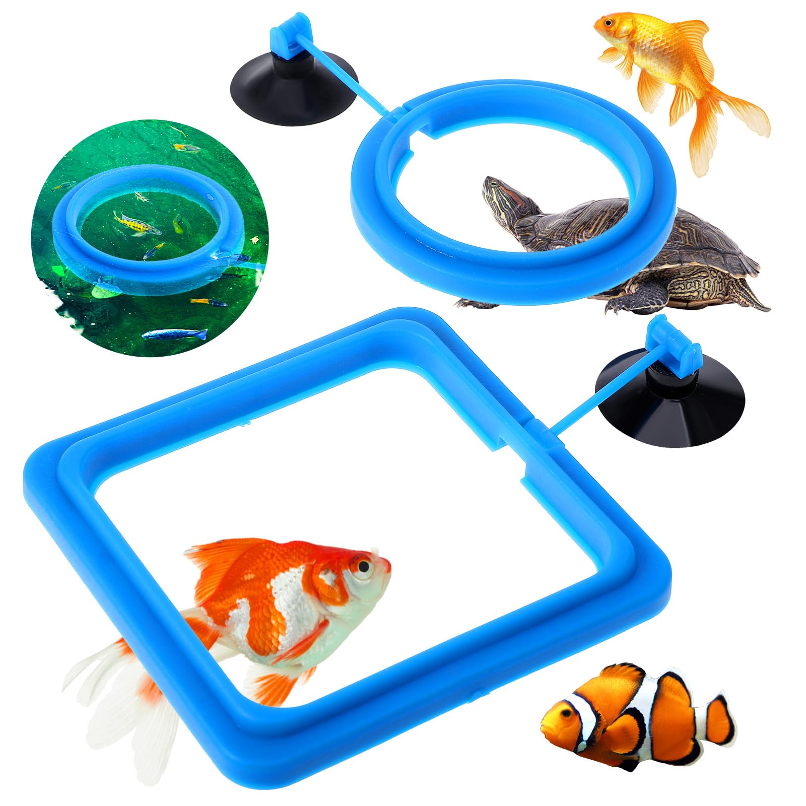 2 Pcs Fish Feeding Rings, Bule Aquarium Floating Plant Rings Fish ...