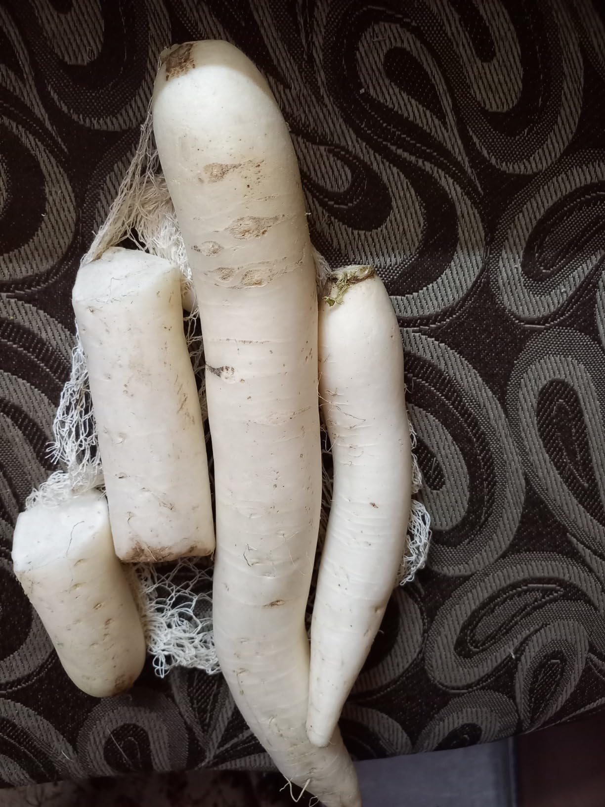 Fresh Radish - White, 500g : Amazon.in: Grocery & Gourmet Foods