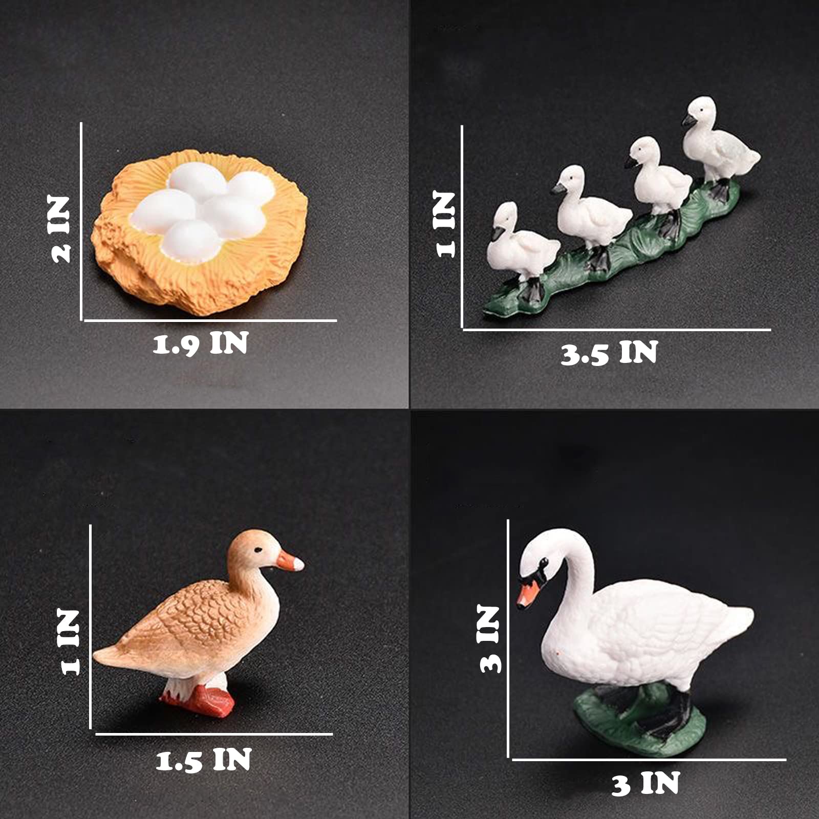Snapklik.com : Life Cycle Toys, White Swan Animals Life Cycle Set ...