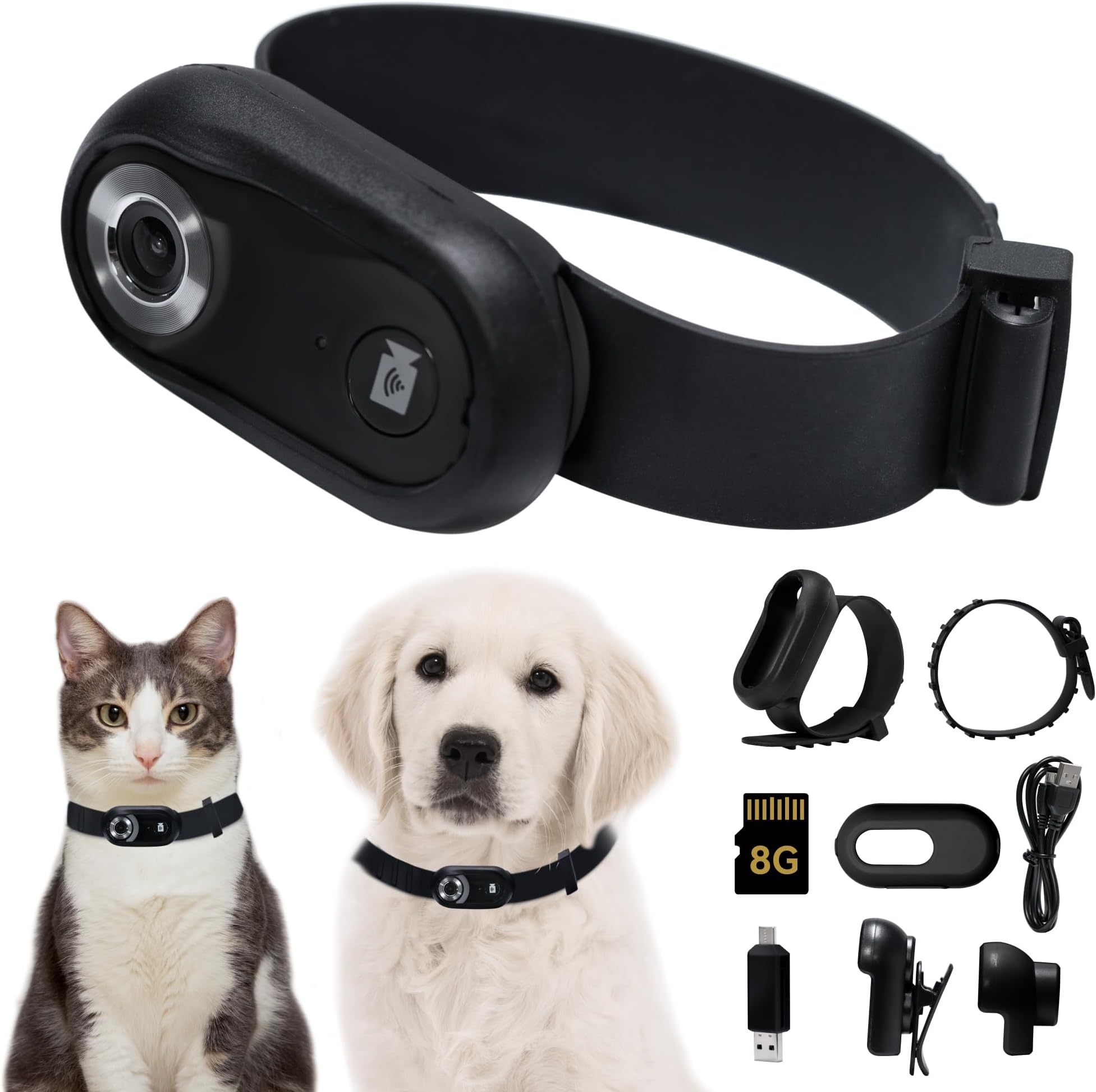Amazon.com: RunCam Cat Collar Dog Collar Camera: Mini Action Camera ...
