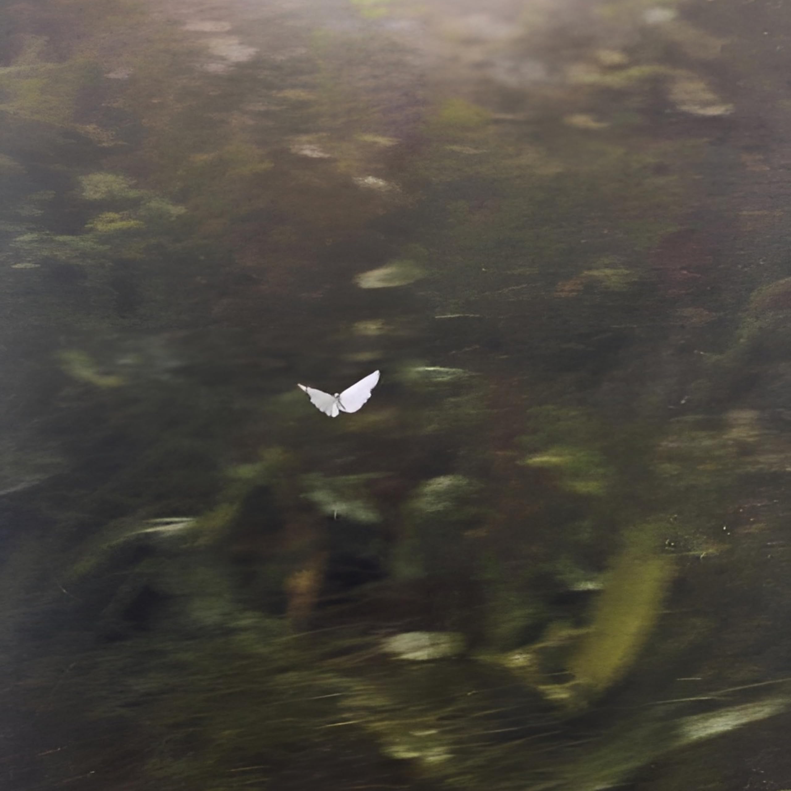 ロクデナシのあやふやからの楽曲あやふやをAmazon Musicで