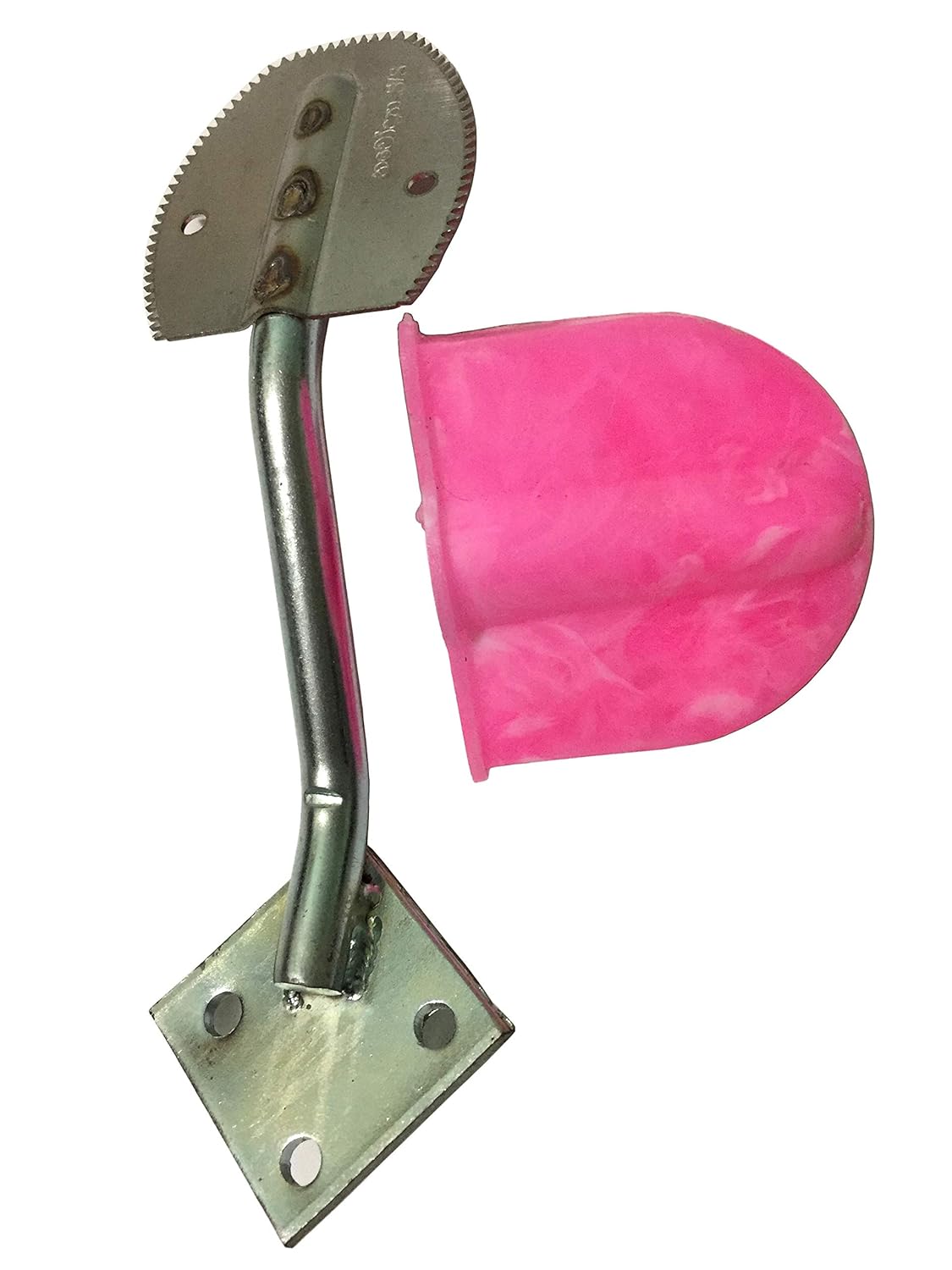 Buy Coconut Grater Blade Online at Low Prices in India - Amazon.in