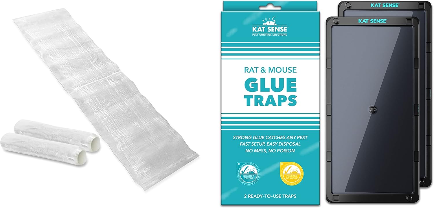 Amazon.com : Rat and Mouse Glue Traps and Sticky Rat Traps 'N Mouse ...