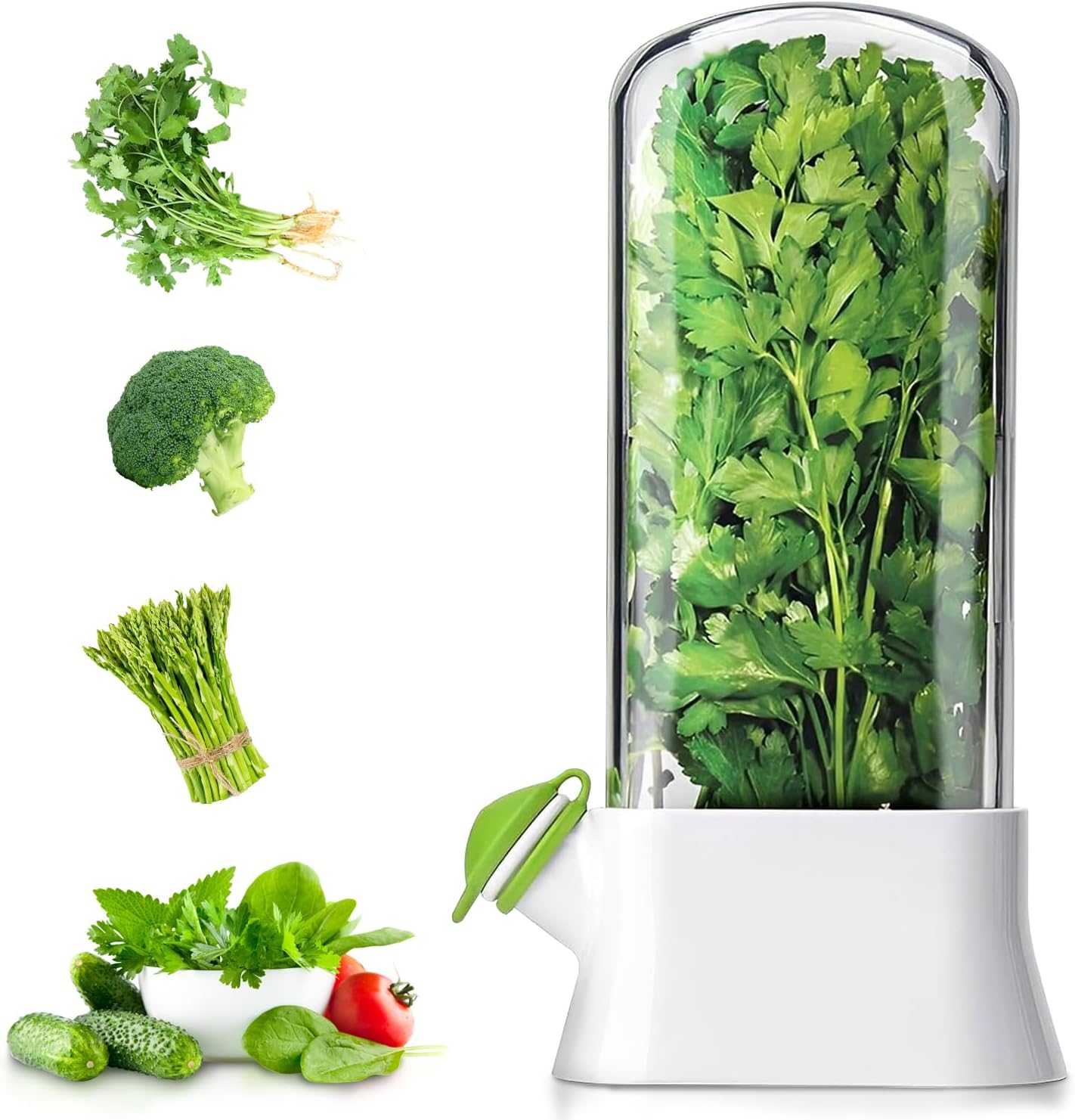 Amazon.com: WHISURN Herb Keeper for Refrigerator - Premium Herb Saver ...