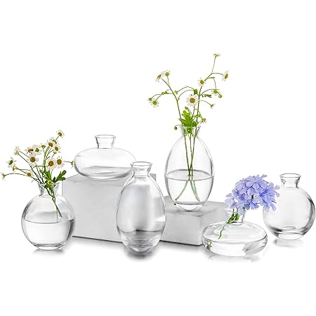 Amazon.com: Clear Glass Bud Flower Vase: Set of 6 Glasseam Decorative ...
