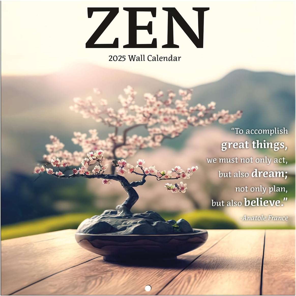Amazon.com: Zen Calendar 2025 - Deluxe 2025 Zen Mini Calendar Bundle ...