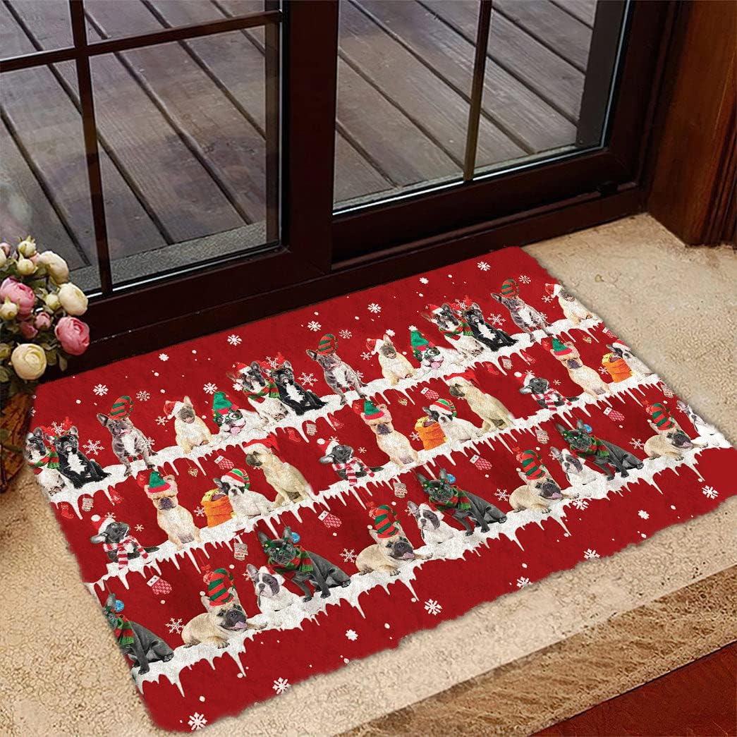 Amazon.com: Door Mat Indoor Entrance Porch Welcome Funny Flannel Floor ...