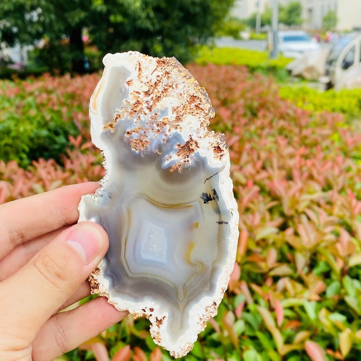 Amazon.com: Natural Banded Agate Slices Geode Quartz Crystal Polished ...